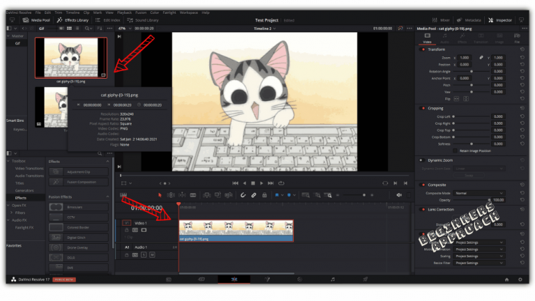 DaVinci Resolve Image Sequence Import/Export (FIX Issues)