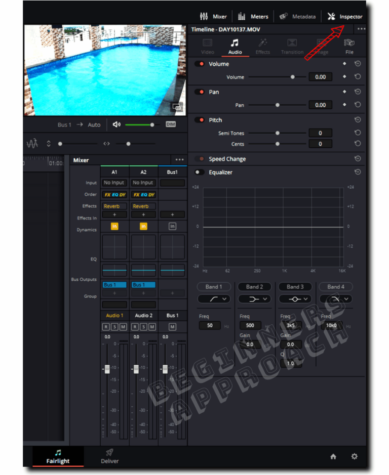 DaVinci Resolve Inspector (Tips & FIXES! 2025 Update)