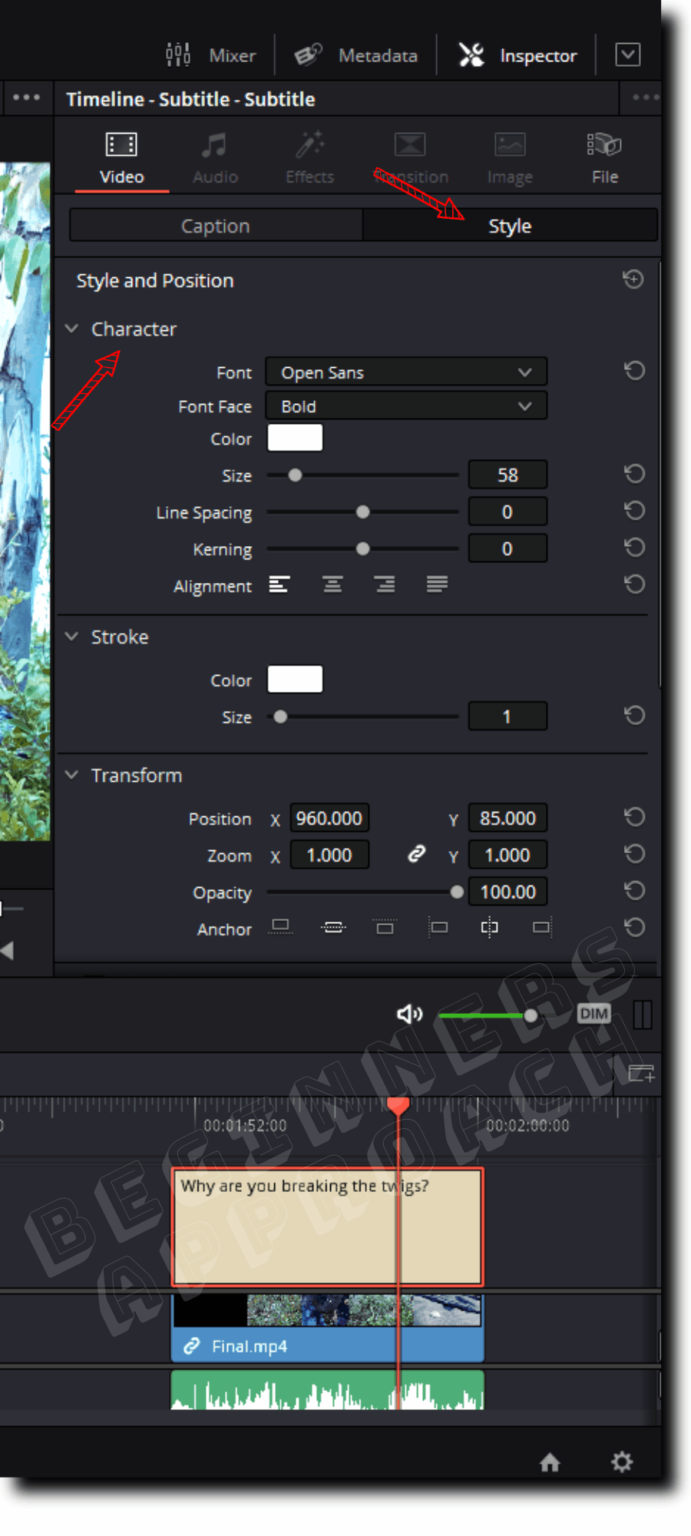 DaVinci Resolve Add / Import Subtitles (+ 3 MUST KNOW Tips)