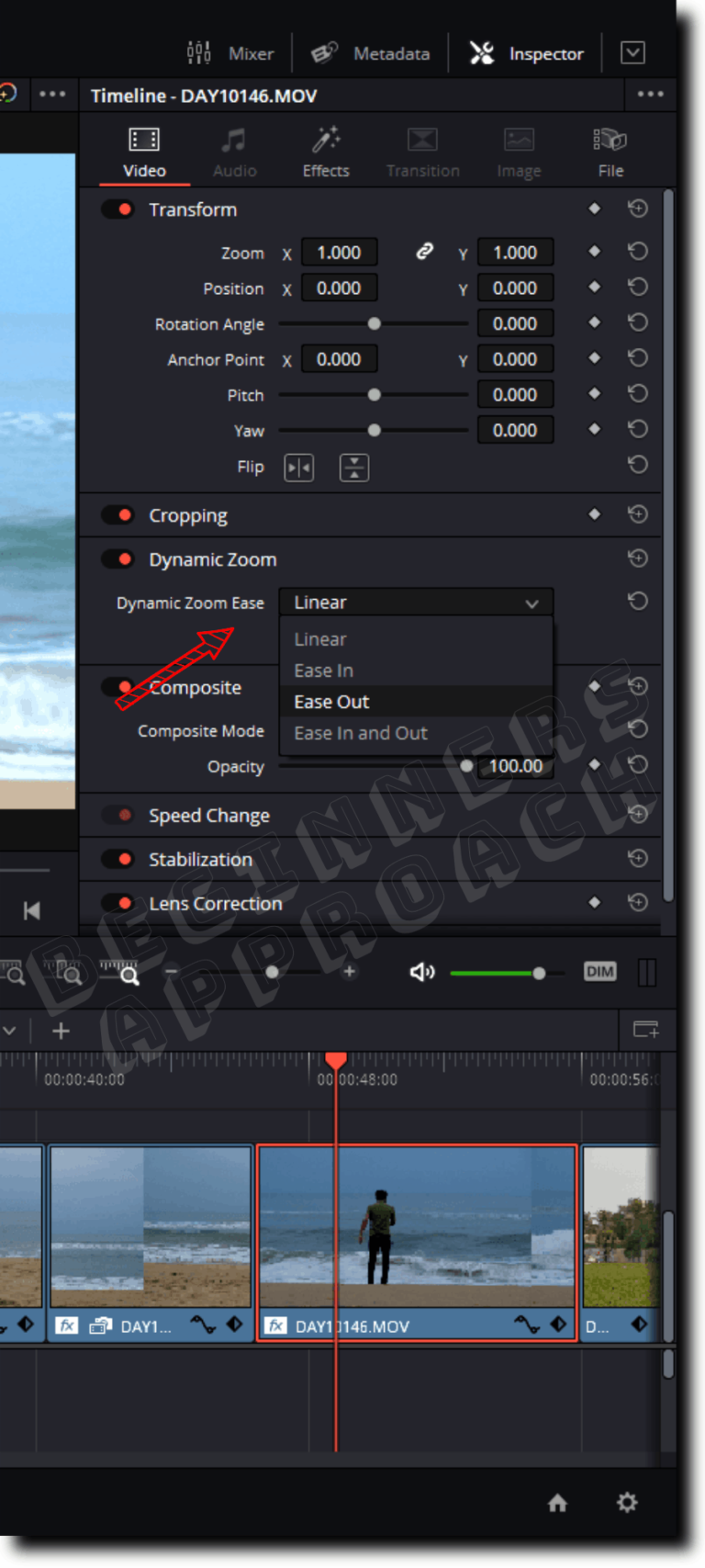 DaVinci Resolve Dynamic Zoom (Here's What You Should KNOW!)