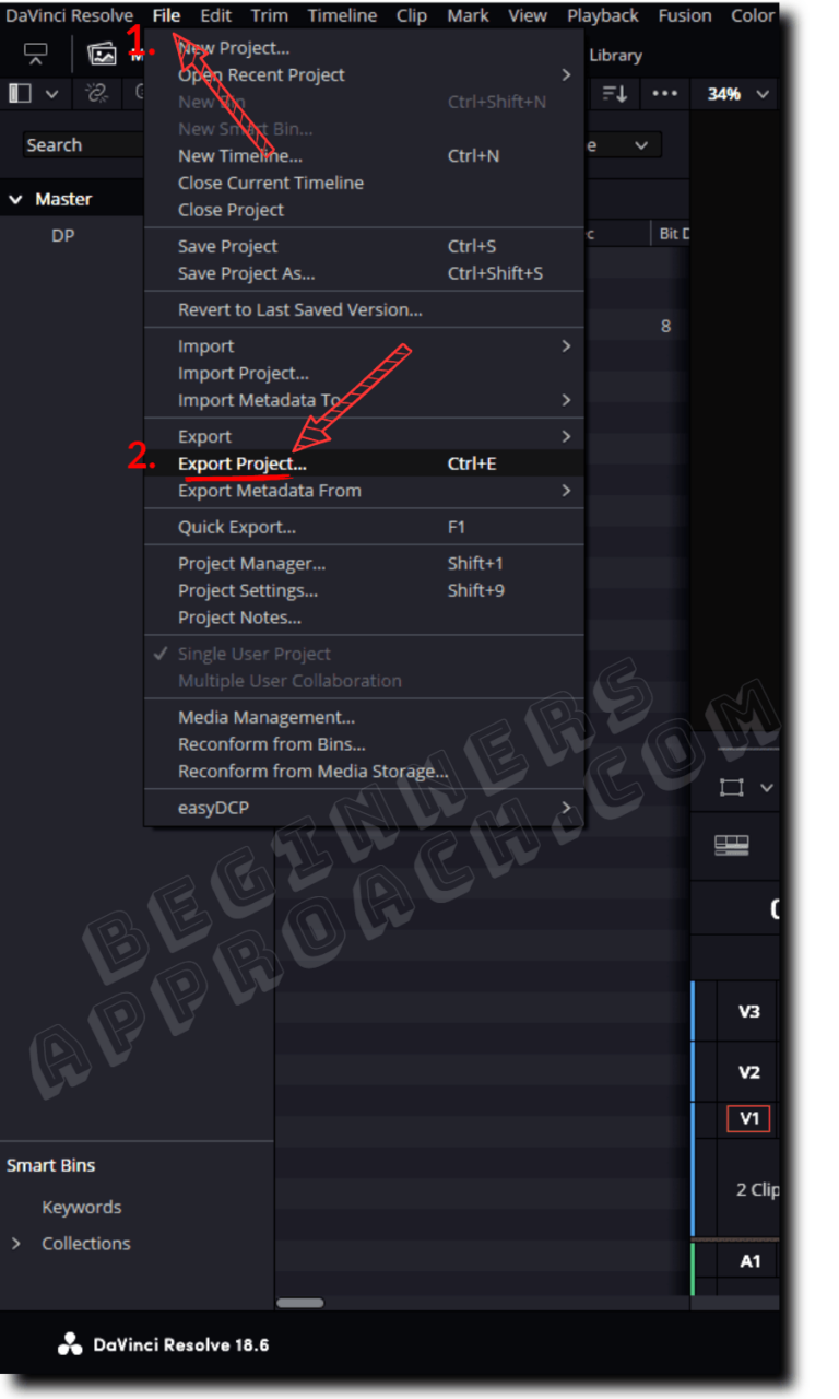 DaVinci Resolve Export Entire Project With Media (2025!)
