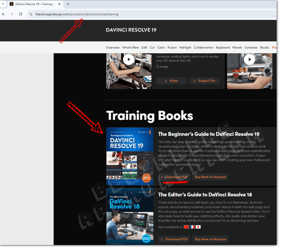 Brand New DaVinci Resolve 19 Beginner's Guide: Download!